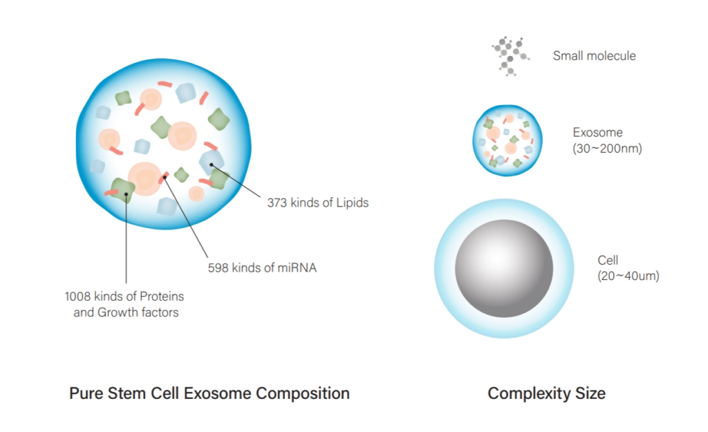 HAIRNA EXOSOME HAIR FILLER for Thinning Hair
